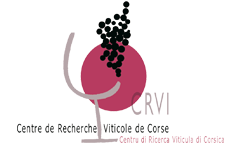 Centre de Recherche Viticole de Corse